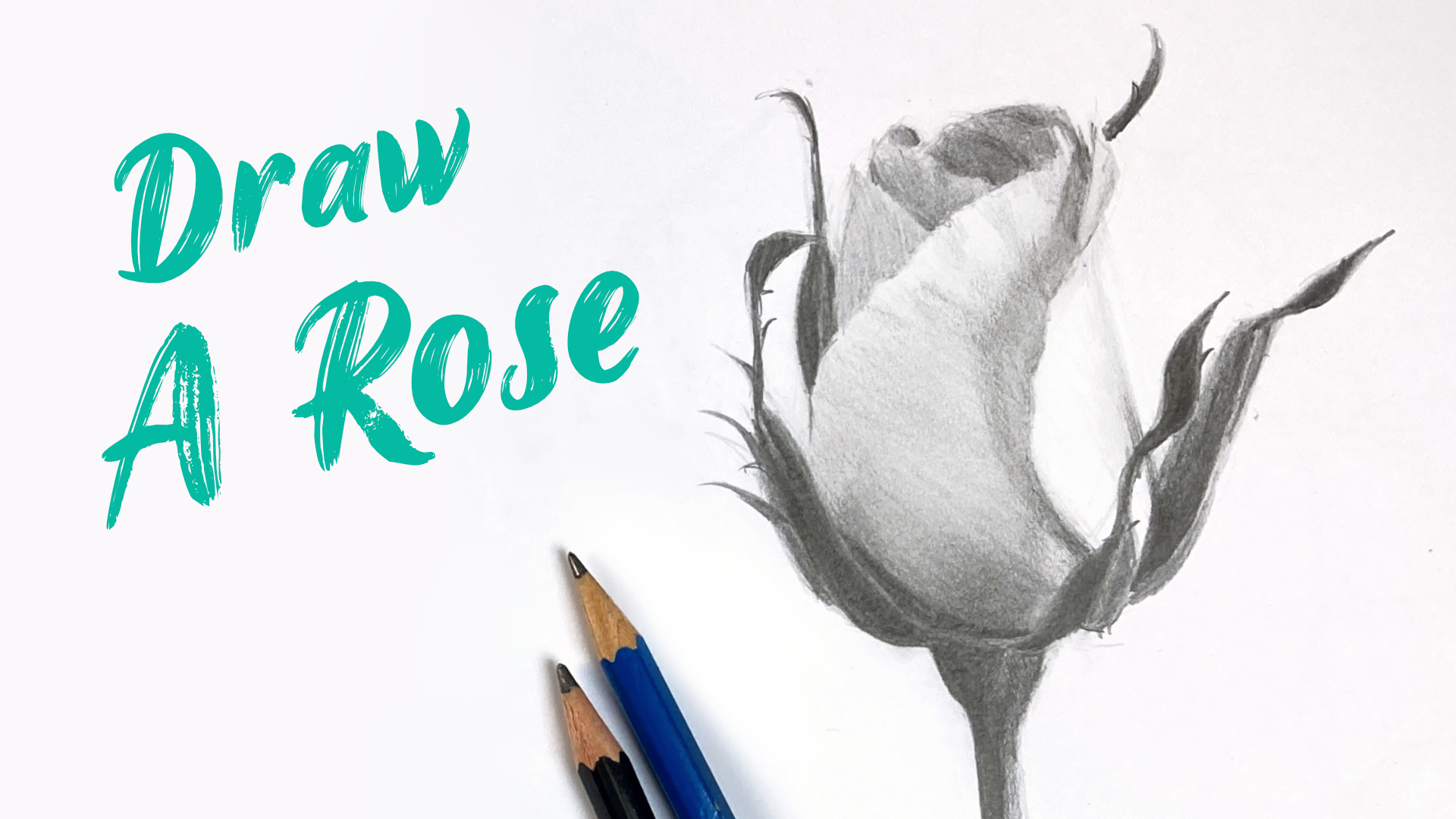 Draw A Rose: Improve Light Shading And Contrast (1h 12m)